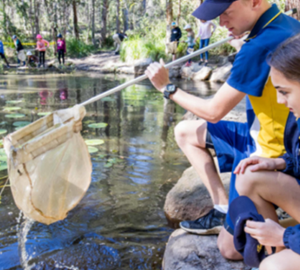 Ecosystem Exploration – Aquatic (Year 7)